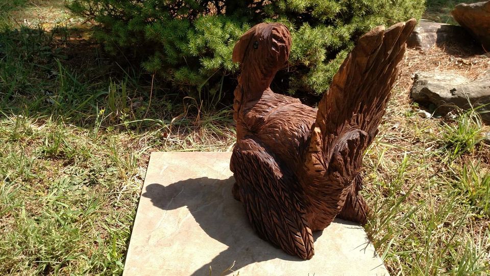 Black Walnut Turkey 1